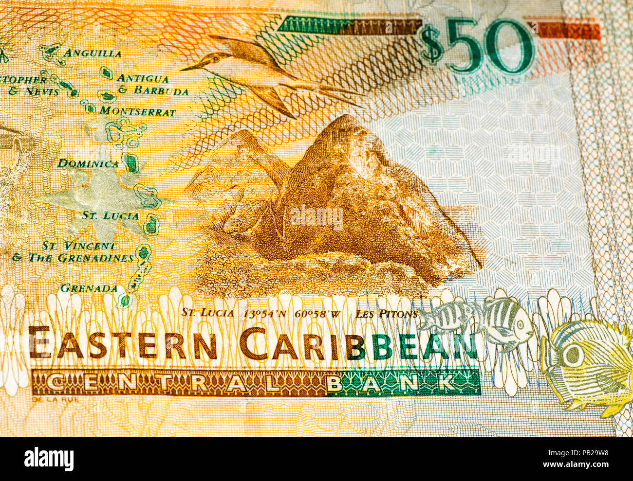 50 Eastern Caribbean dollars bank note Stock Photo - Alamy