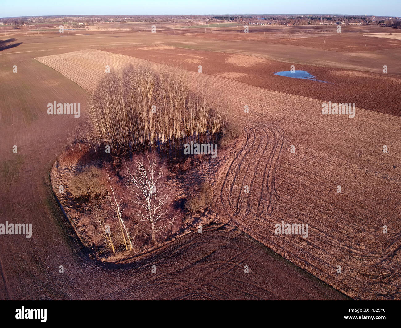Early spring farmland landscape with grove, puddle and wheat stubble ...