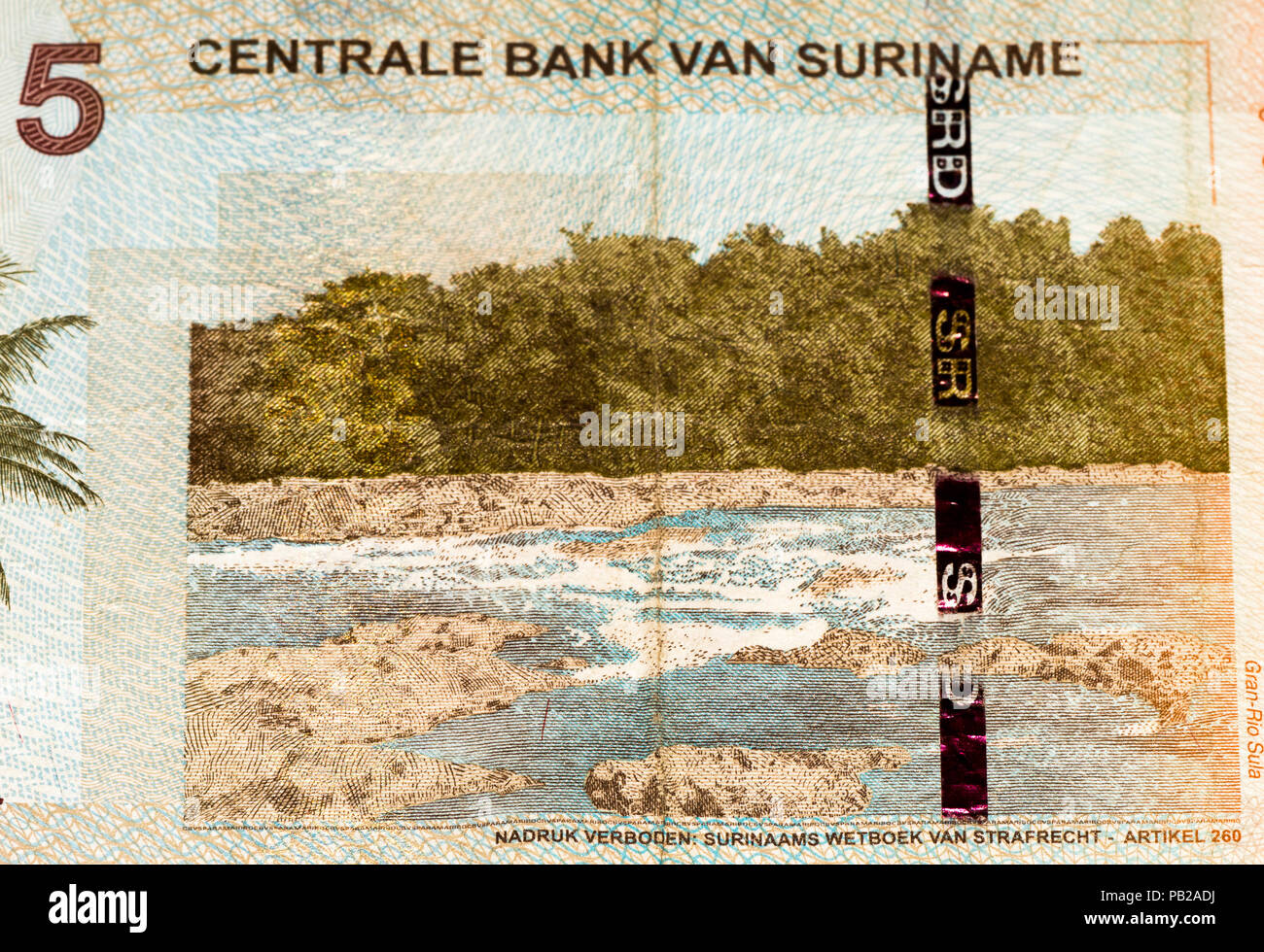 5 Surinamese dollar bank note. Surinamese dollar is the national ...