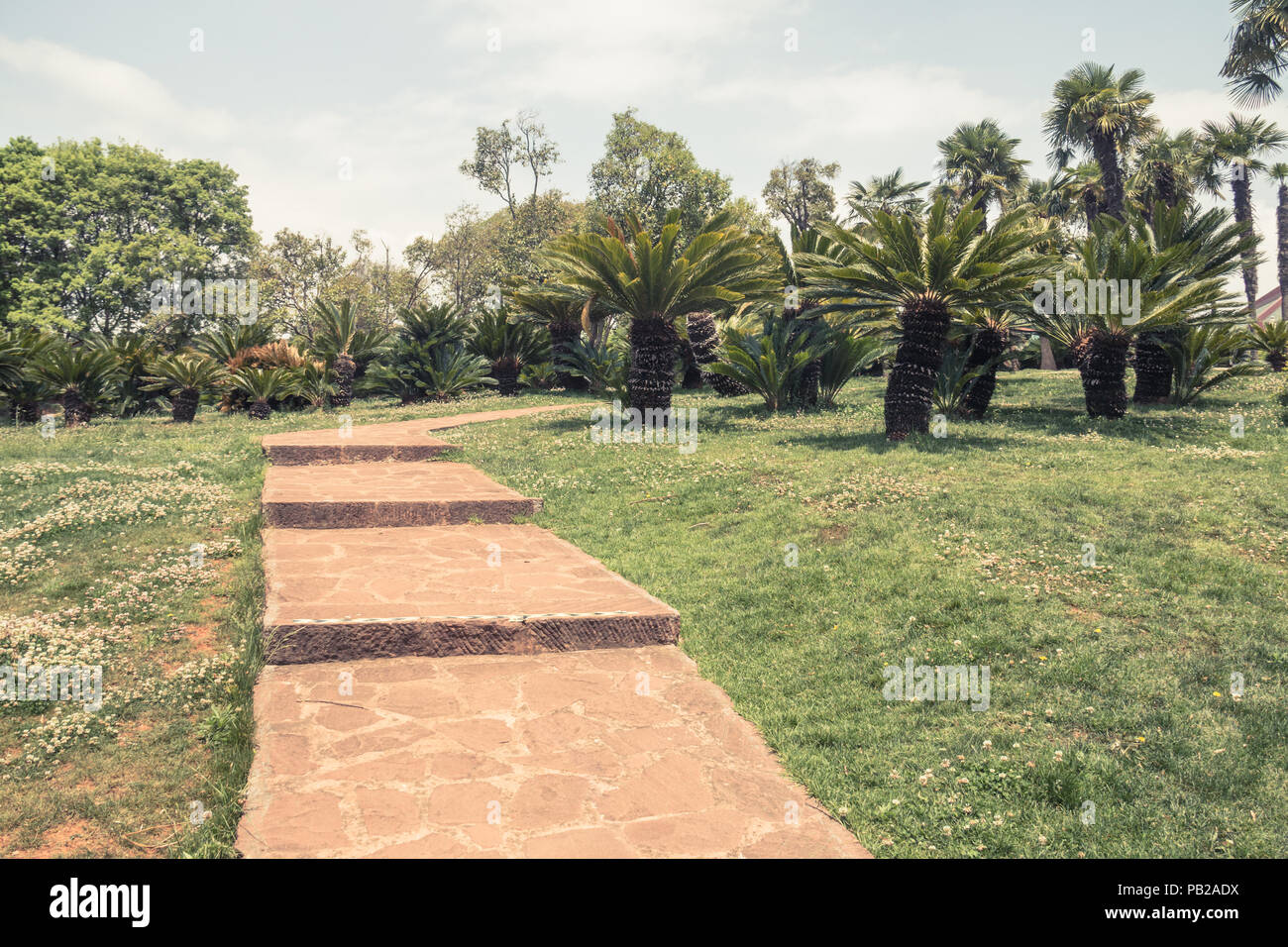 Palm trees and sidewalks Stock Photo - Alamy
