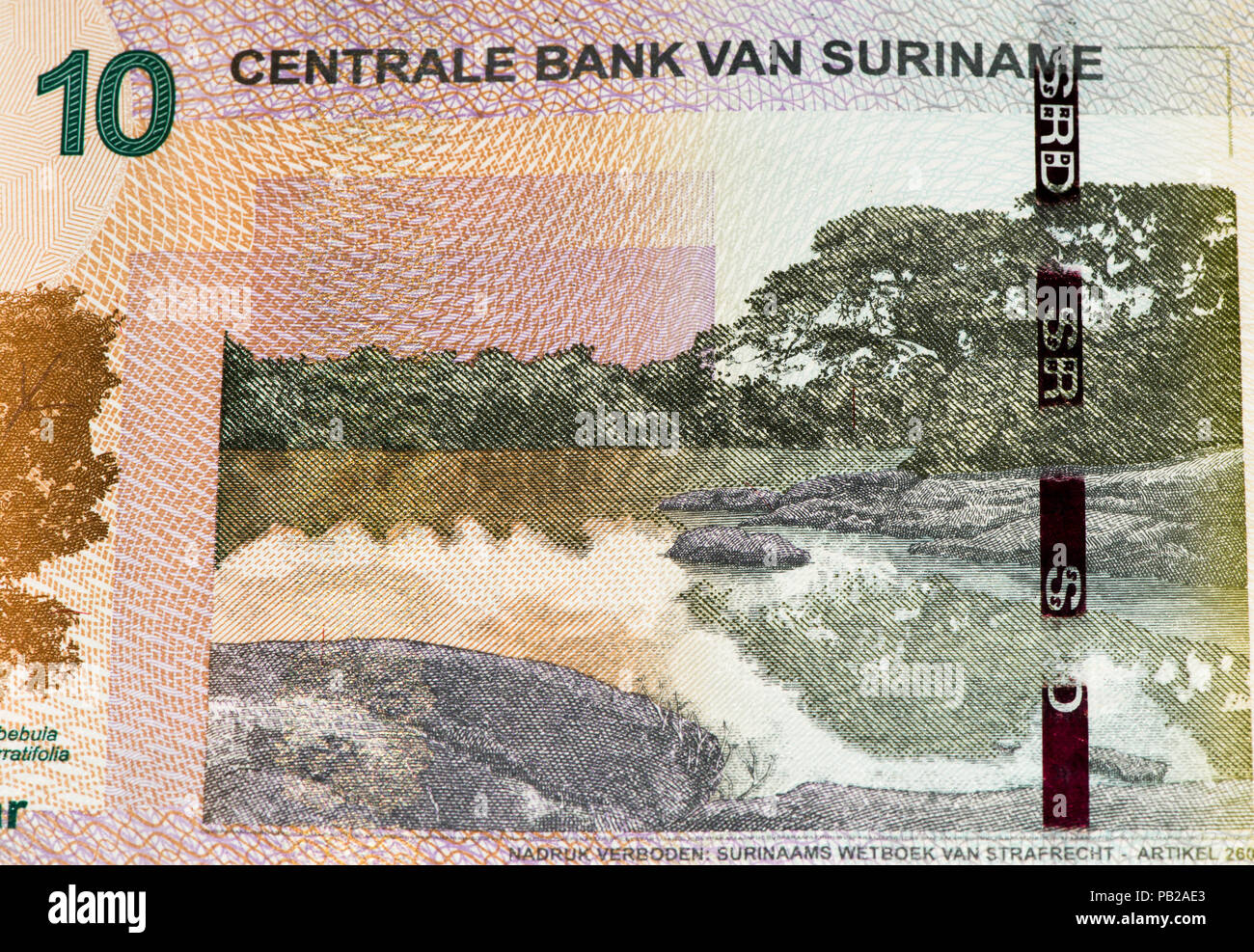 10 Surinamese dollar bank note. Surinamese dollar is the national ...