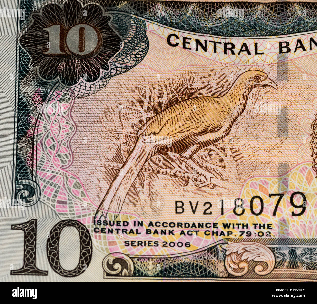 10 Trinidad and Tobago dollar bank note. Trinidad and Tobago is the ...