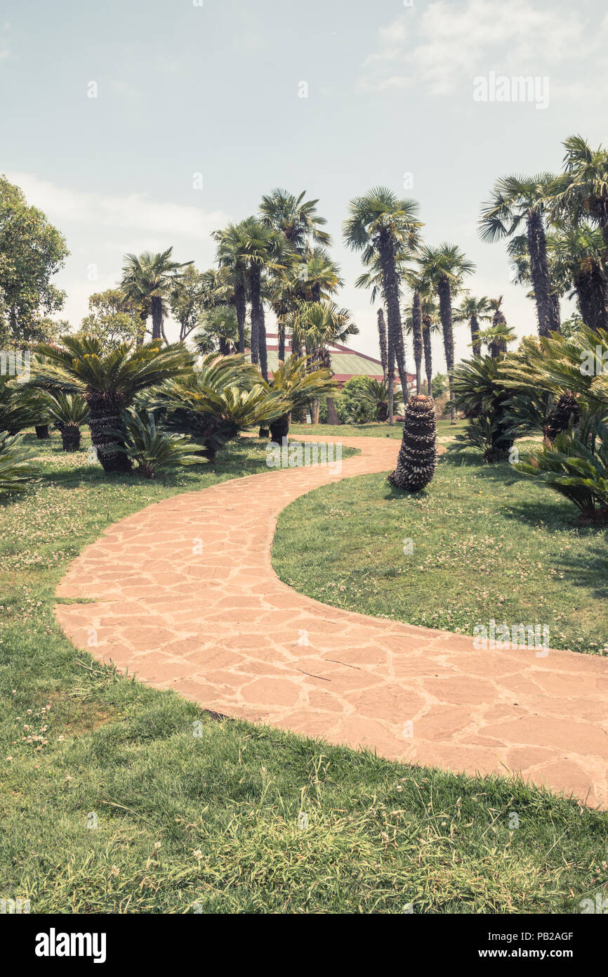 Palm trees and sidewalks Stock Photo - Alamy