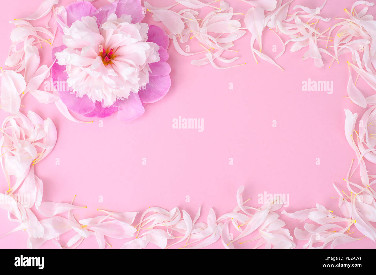Creative layout of flower and petals Stock Photo - Alamy