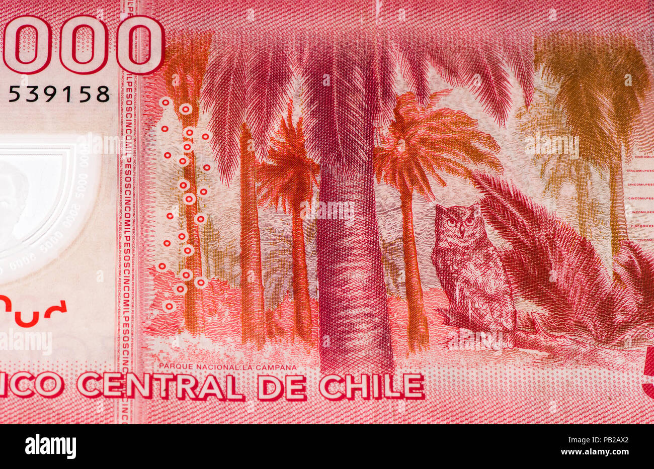 Chile peso currency note sign hi-res stock photography and images - Alamy