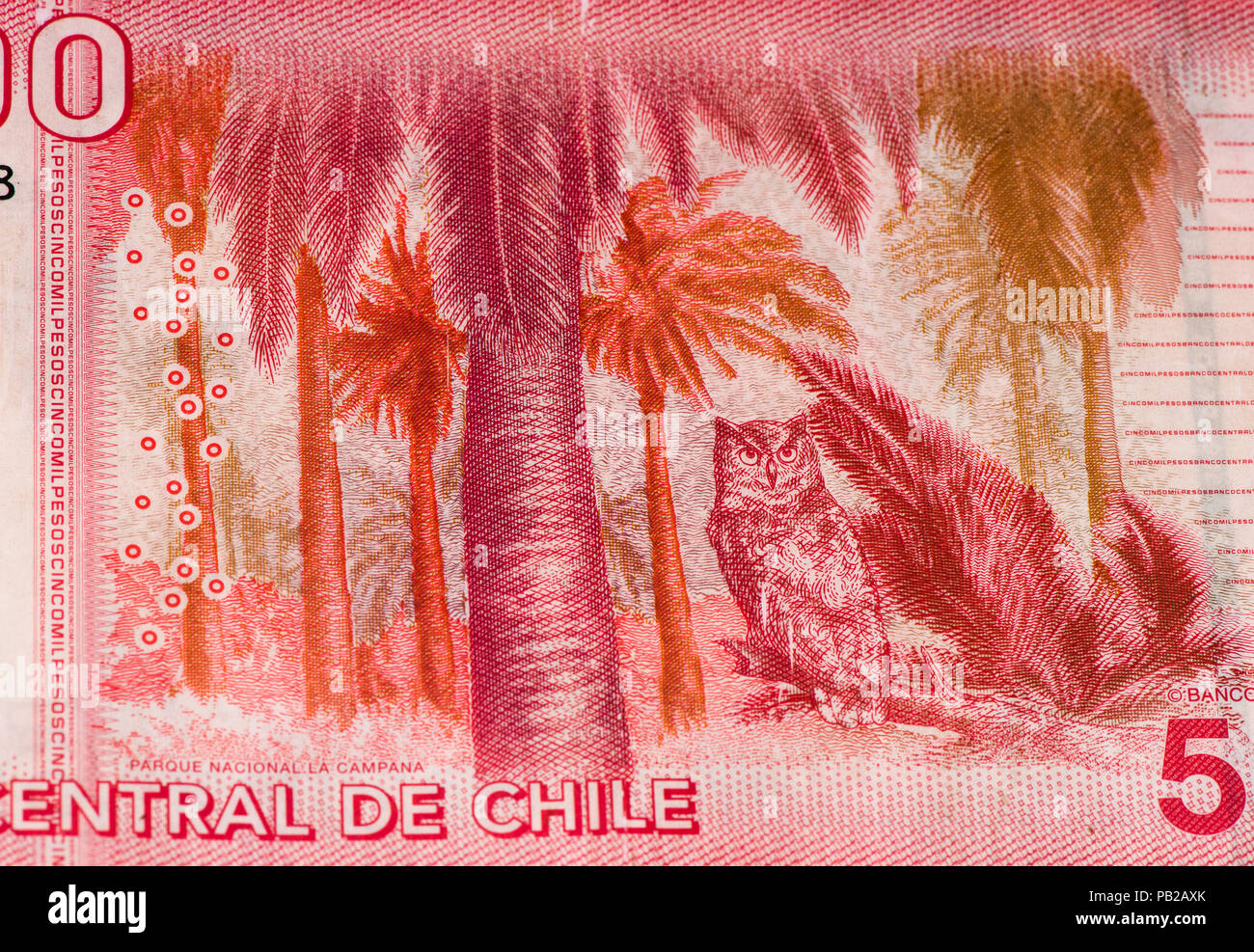 Chile peso currency note sign hi-res stock photography and images - Alamy