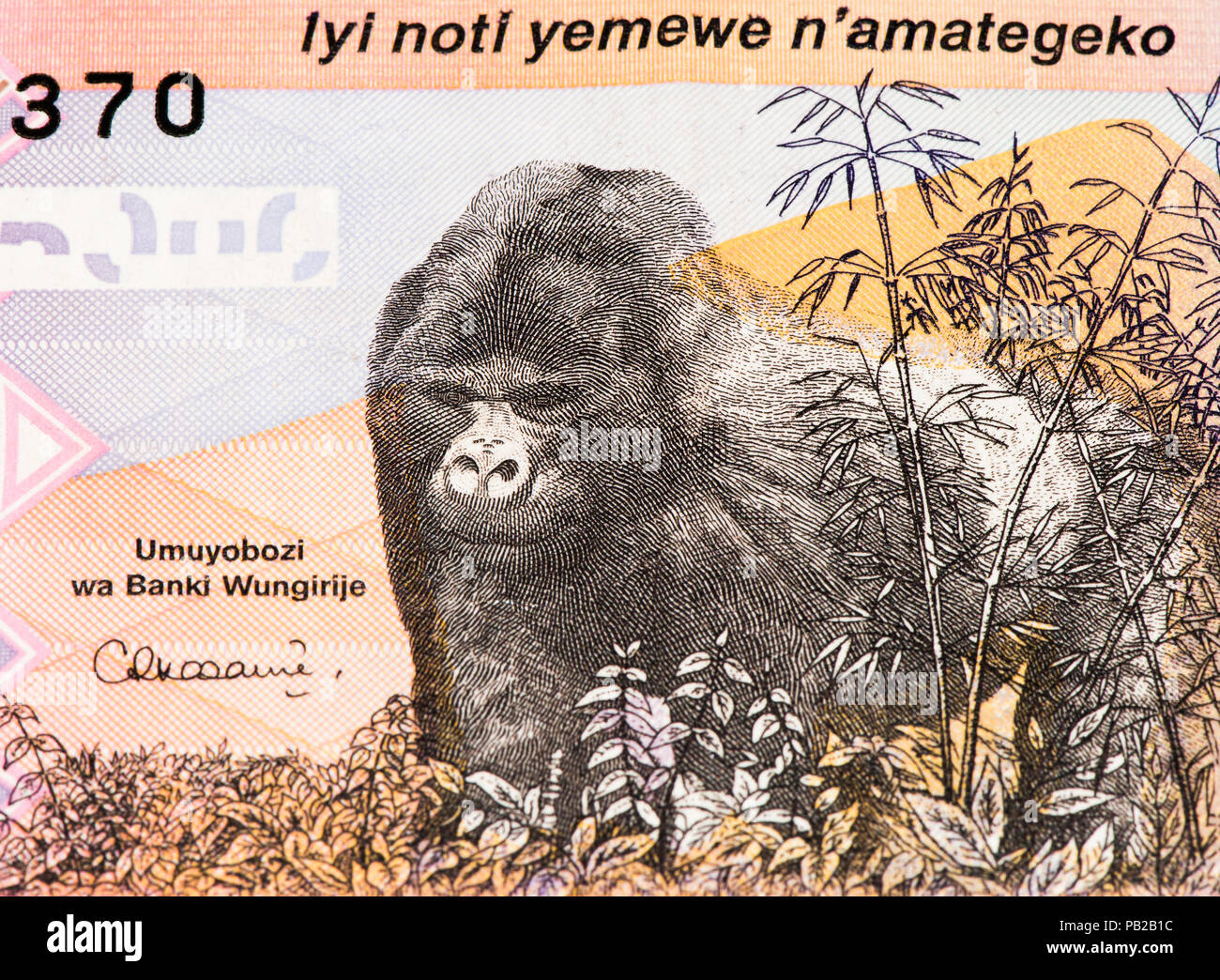 5000 Rwandan francs of Rwanda. Rwandan francs is the national currency ...