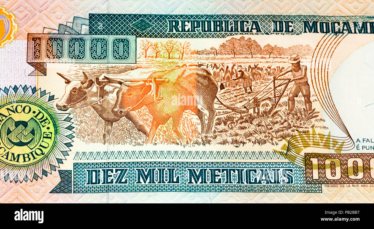 10000 Mozambican escudos bank note. Mozambican escudo is former ...