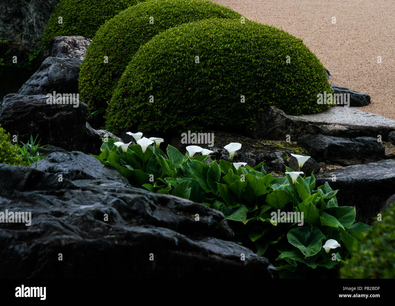 Adachi Museum of Art known for one of three most beautiful gardens in ...