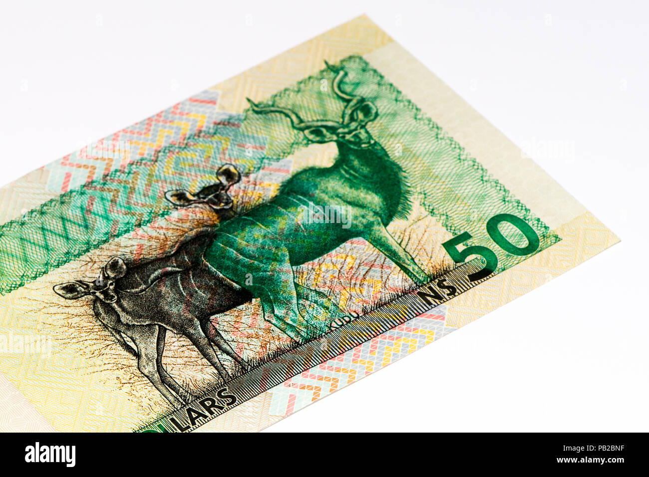 50 Namibian dollars bank note of Namibia. Namibian dollars is the ...