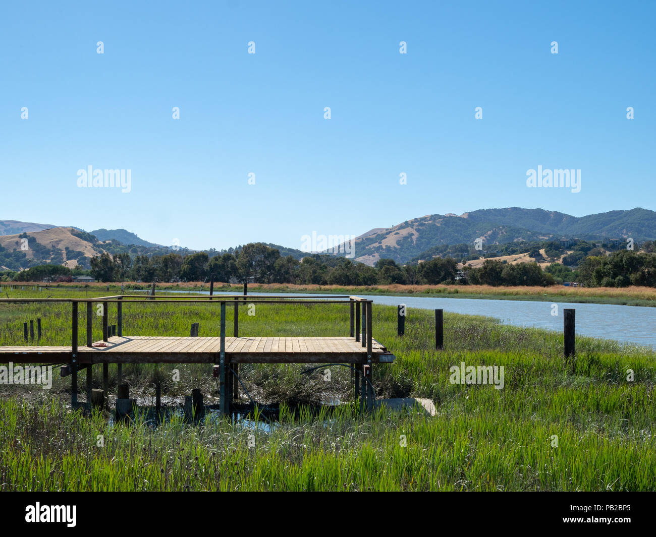 Small dock and deck sitting in a march on a sunny day with river and ...