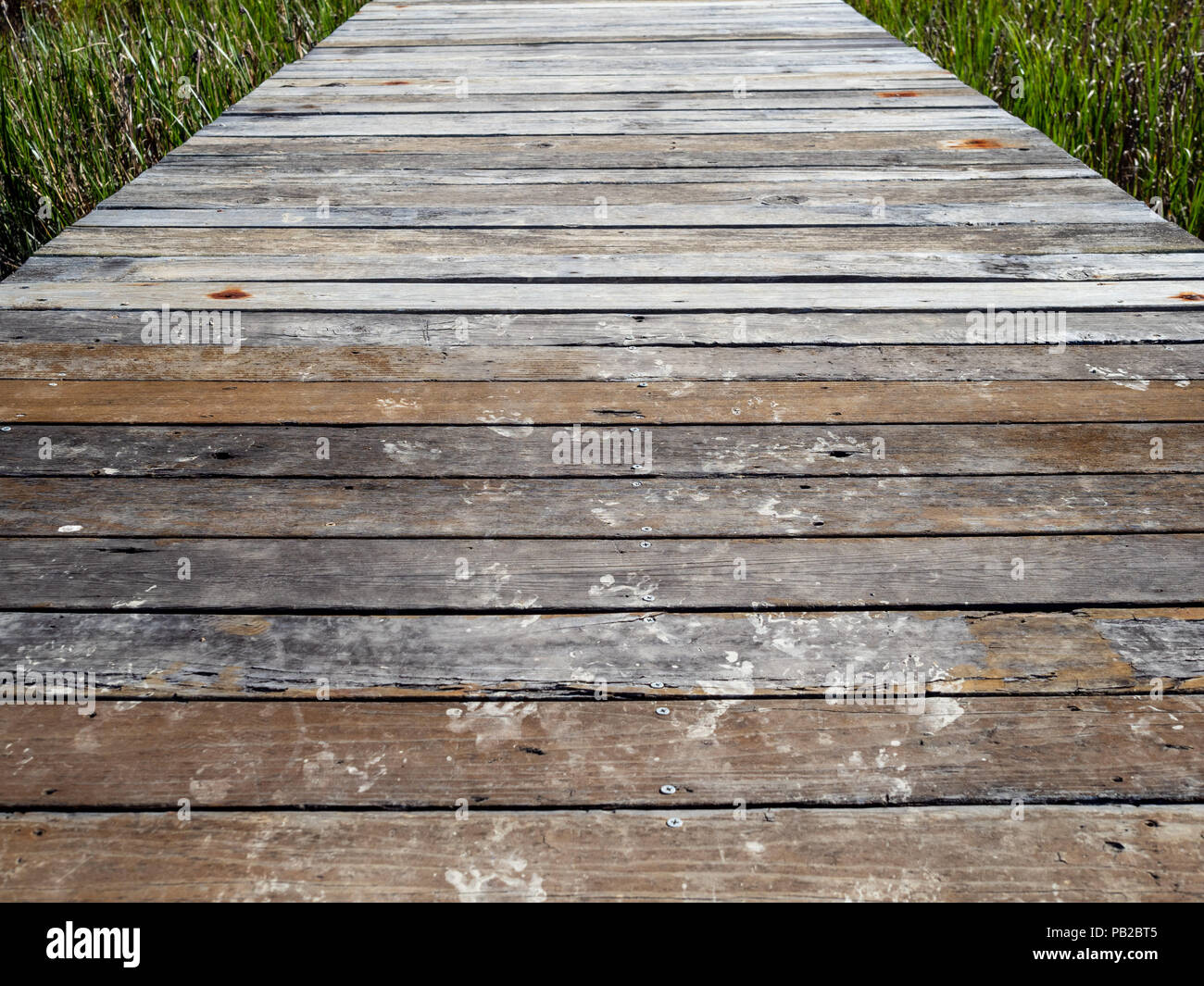 Scrurry hi-res stock photography and images - Alamy