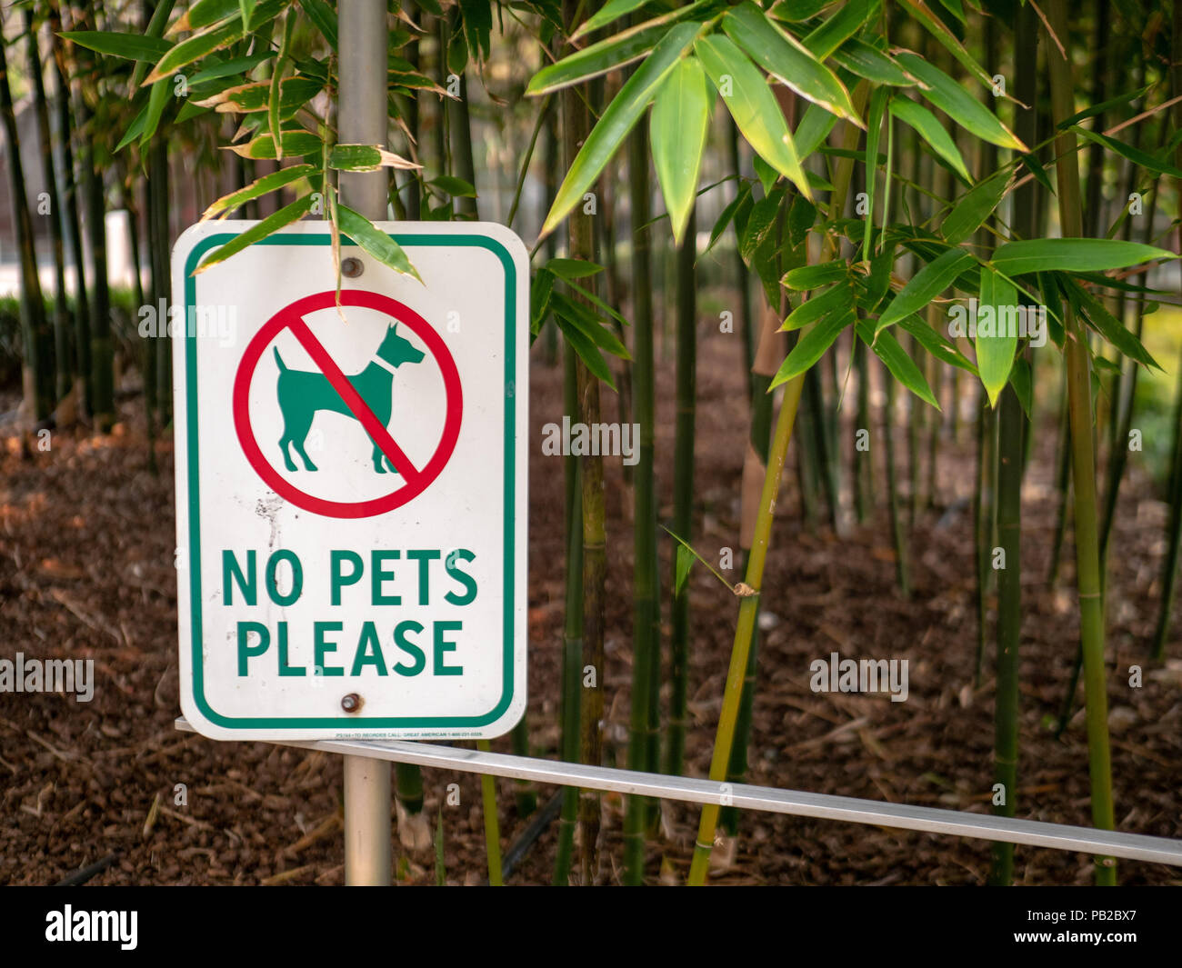 No pets please sign with dog crossed out hanging in a garden area Stock ...