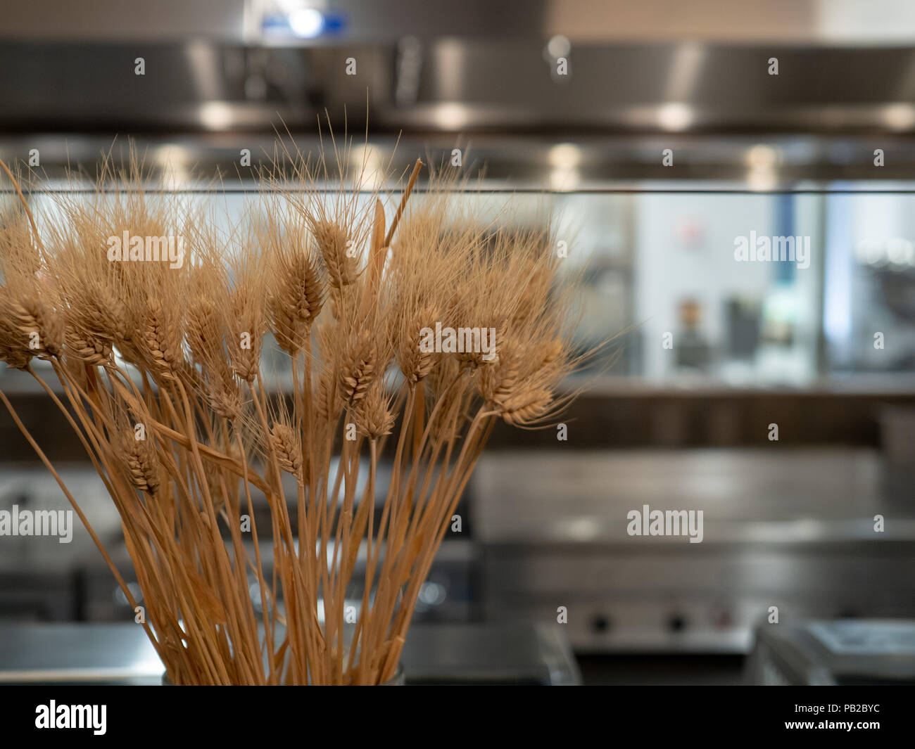 Raw wheat crop on decorative display in front of an industrial kitchen ...