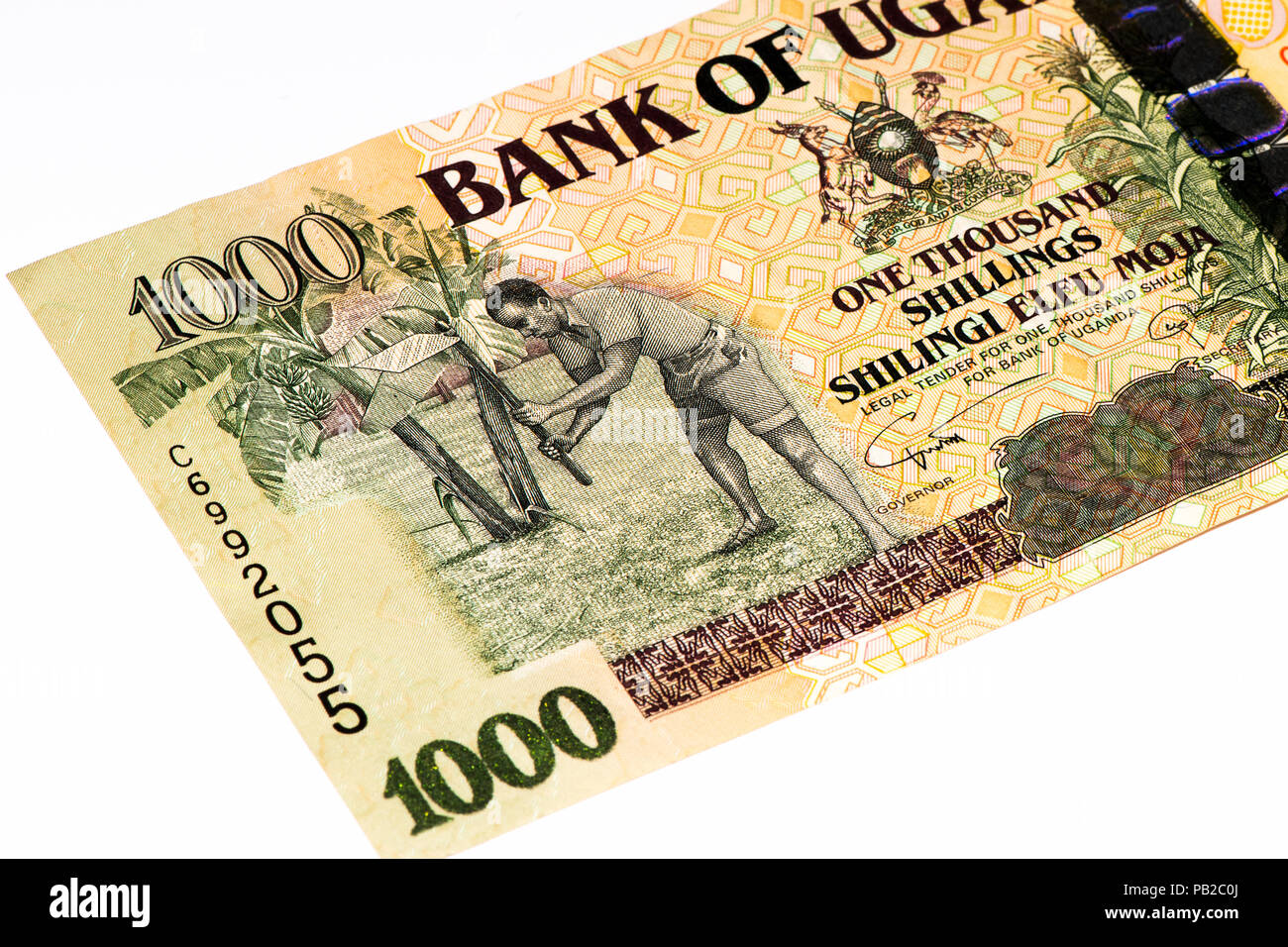 1000 Ugandan shillings bank note. Ugandan shilling is the national ...