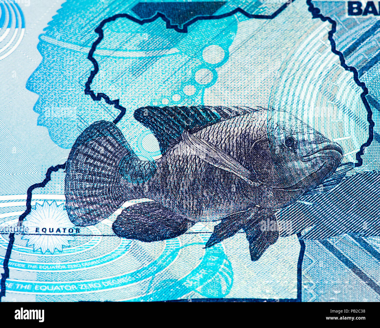 2000 Ugandan shillings bank note. Ugandan shilling is the national ...