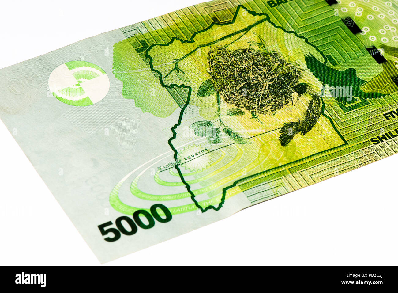 5000 Ugandan shillings bank note. Ugandan shilling is the national ...