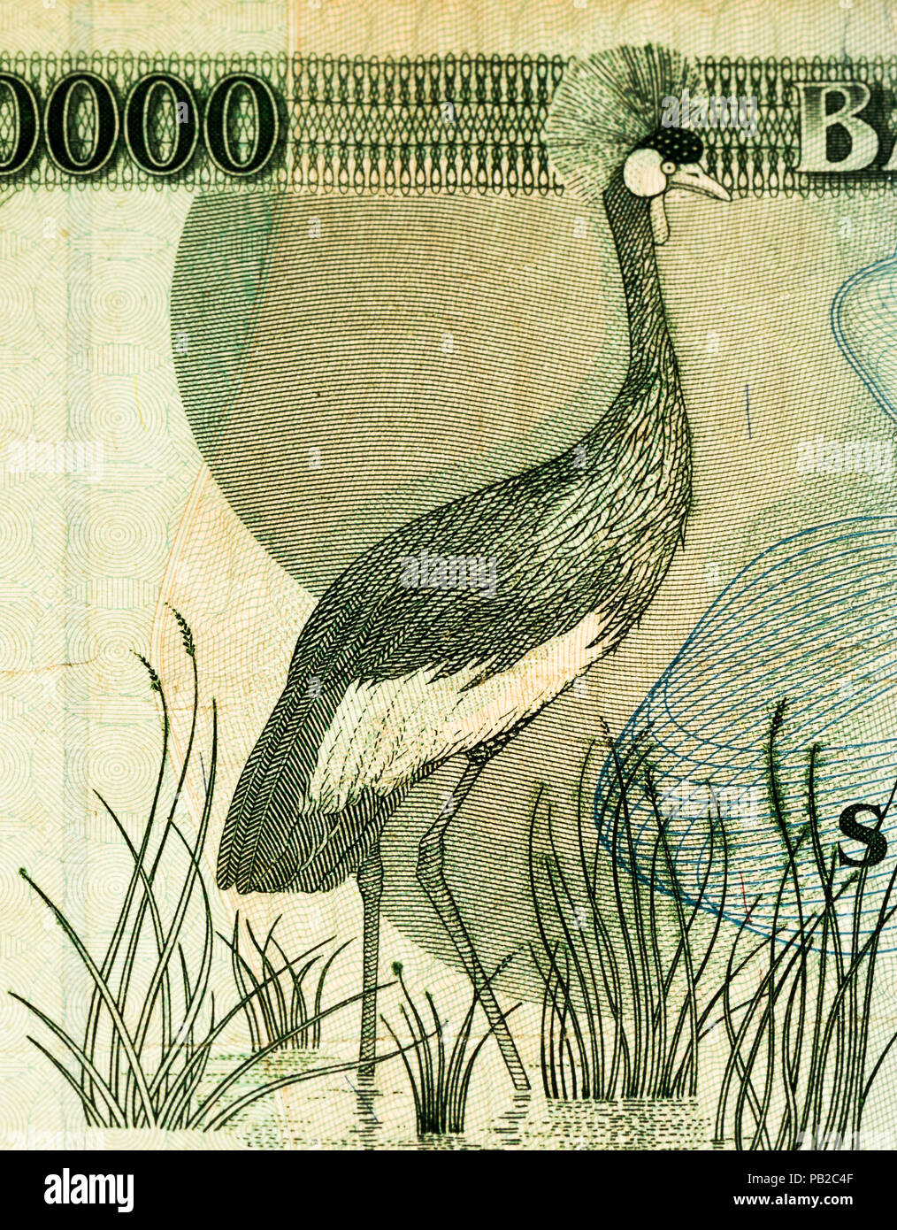 20000 Ugandan Shillings Bank Note Ugandan Shilling Is The National Currency Of Uganda Stock 20000-ugandan-shillings-bank-note-ugandan-shilling-is-the-national-currency-of-uganda-stock