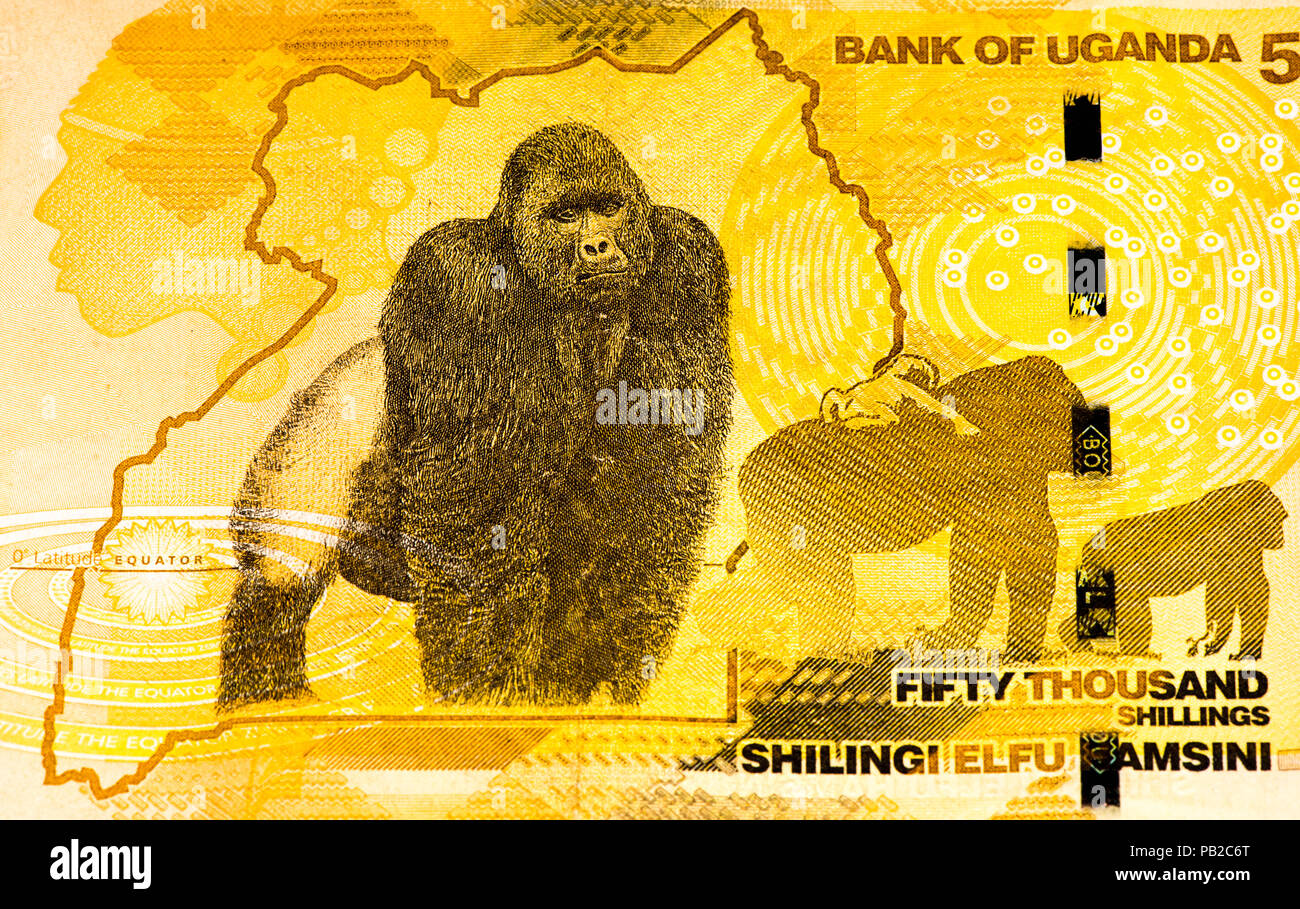50000 Ugandan shillings bank note. Ugandan shilling is the national ...