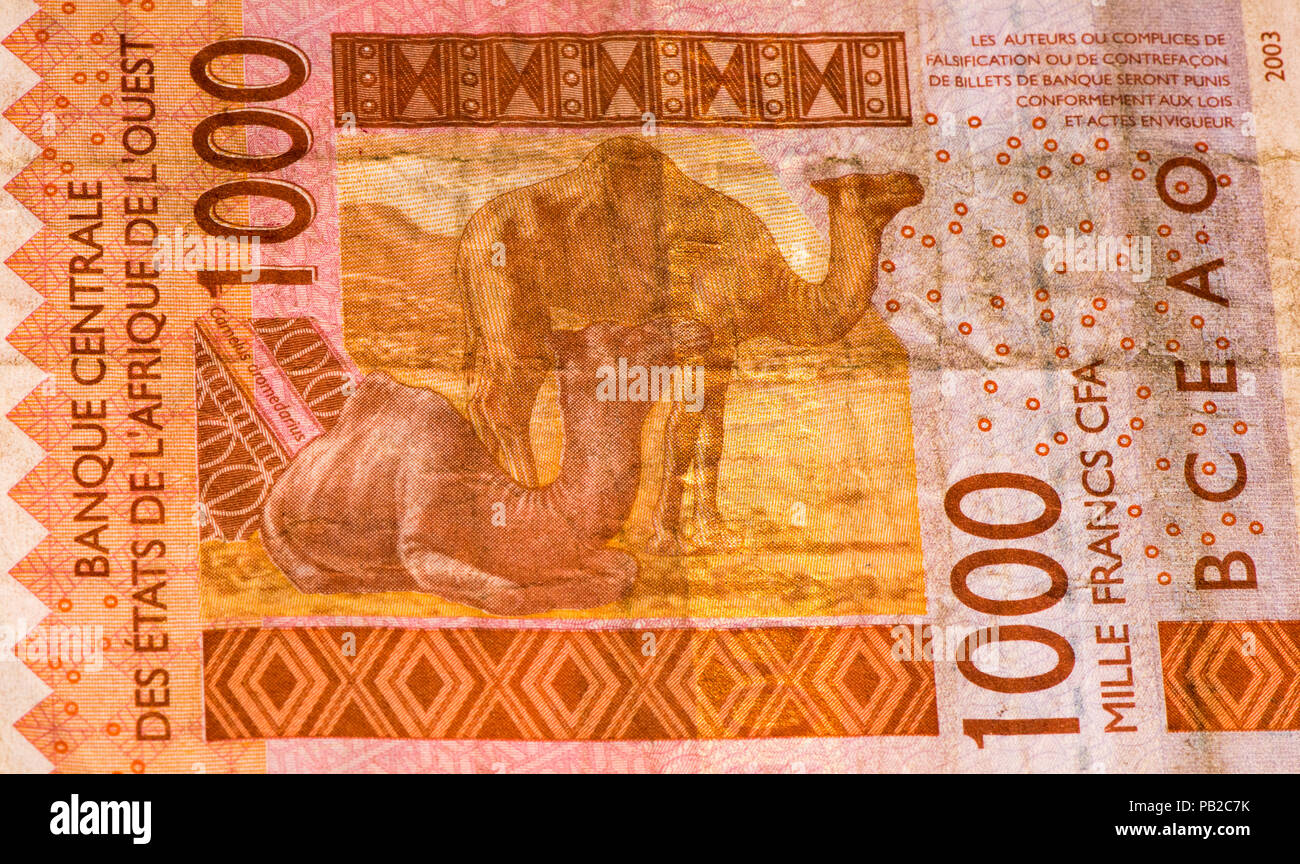 1000 CFA franc bank note. CFA franc is used in 14 African countries ...