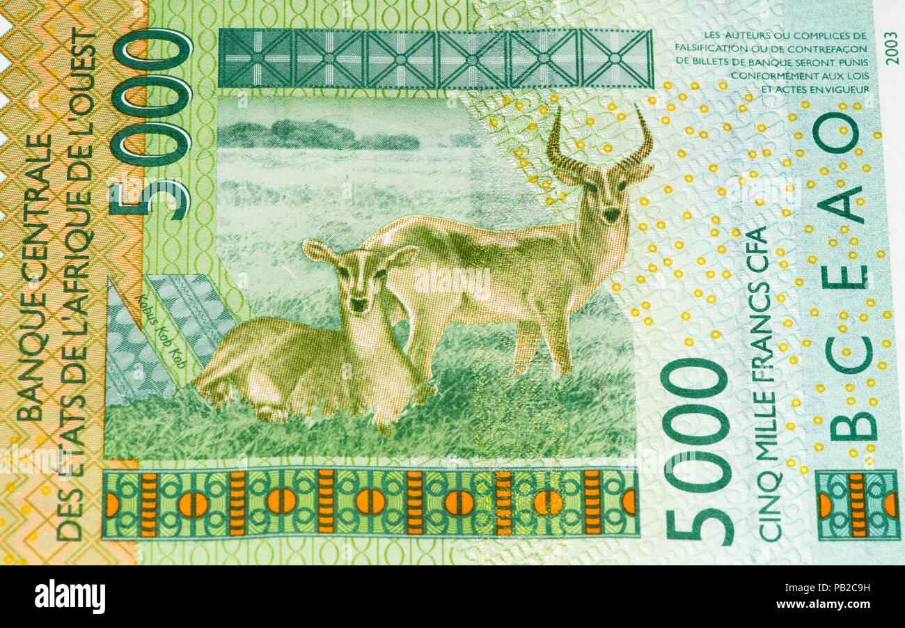 5000 CFA franc bank note. CFA franc is used in 14 African countries ...