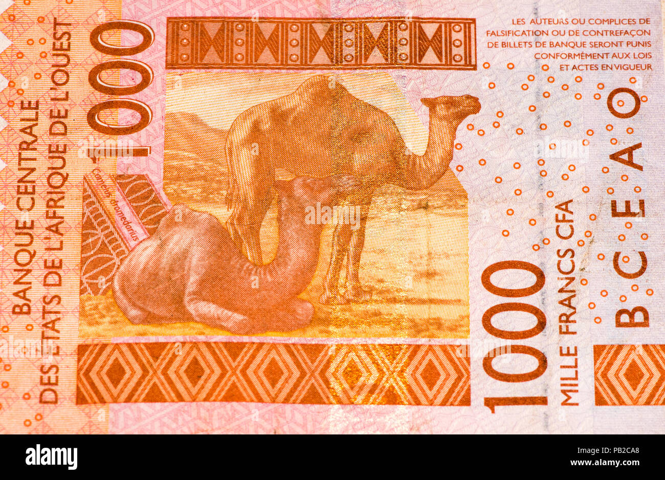 1000 CFA franc bank note. CFA franc is used in 14 African countries ...