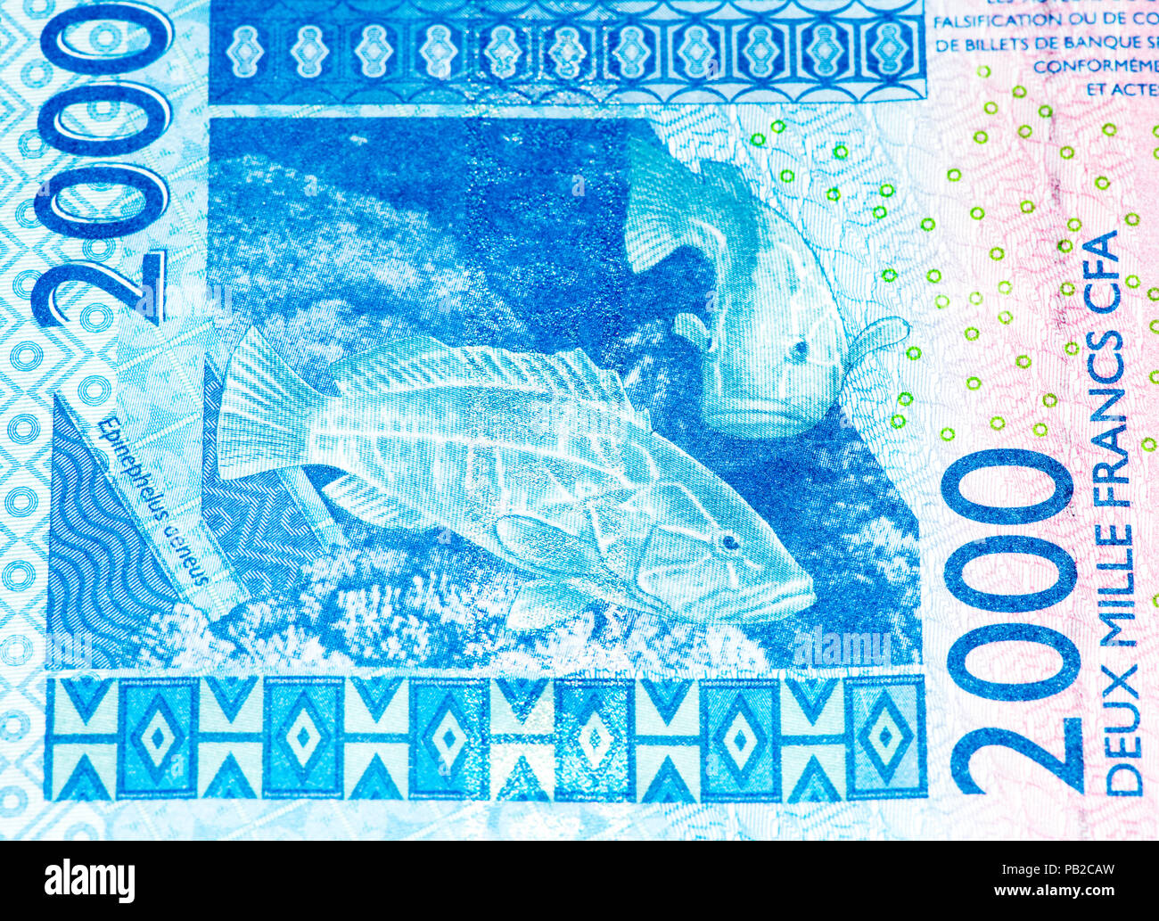 Central African Cfa Franc Currency High Resolution Stock Photography ...