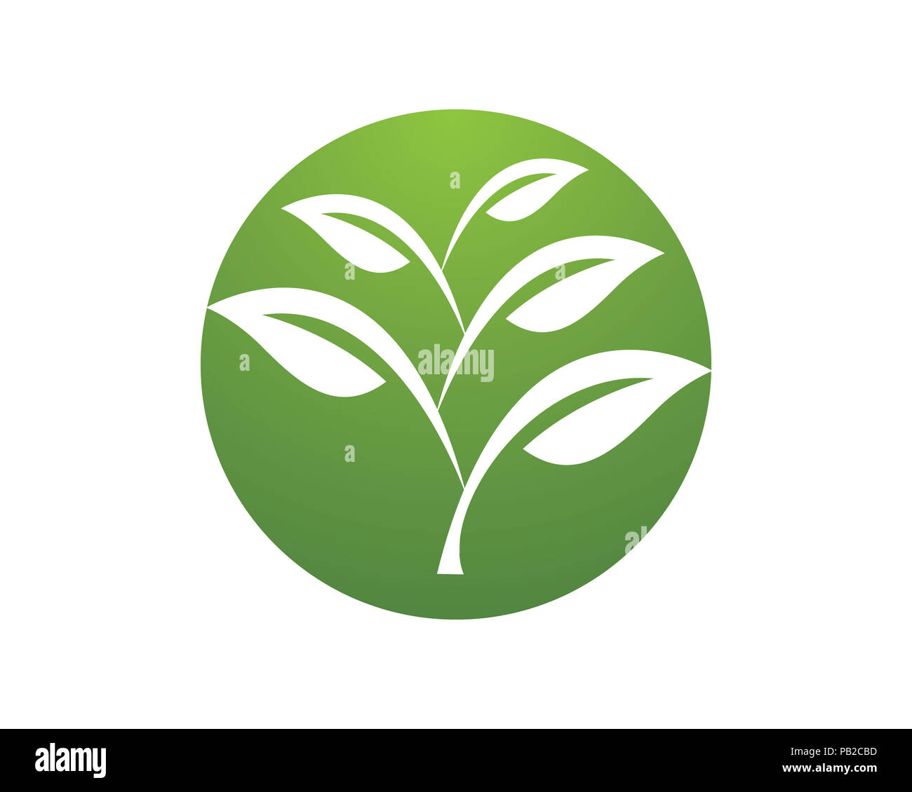 Logos of green leaf ecology nature element vector icon Stock Photo - Alamy