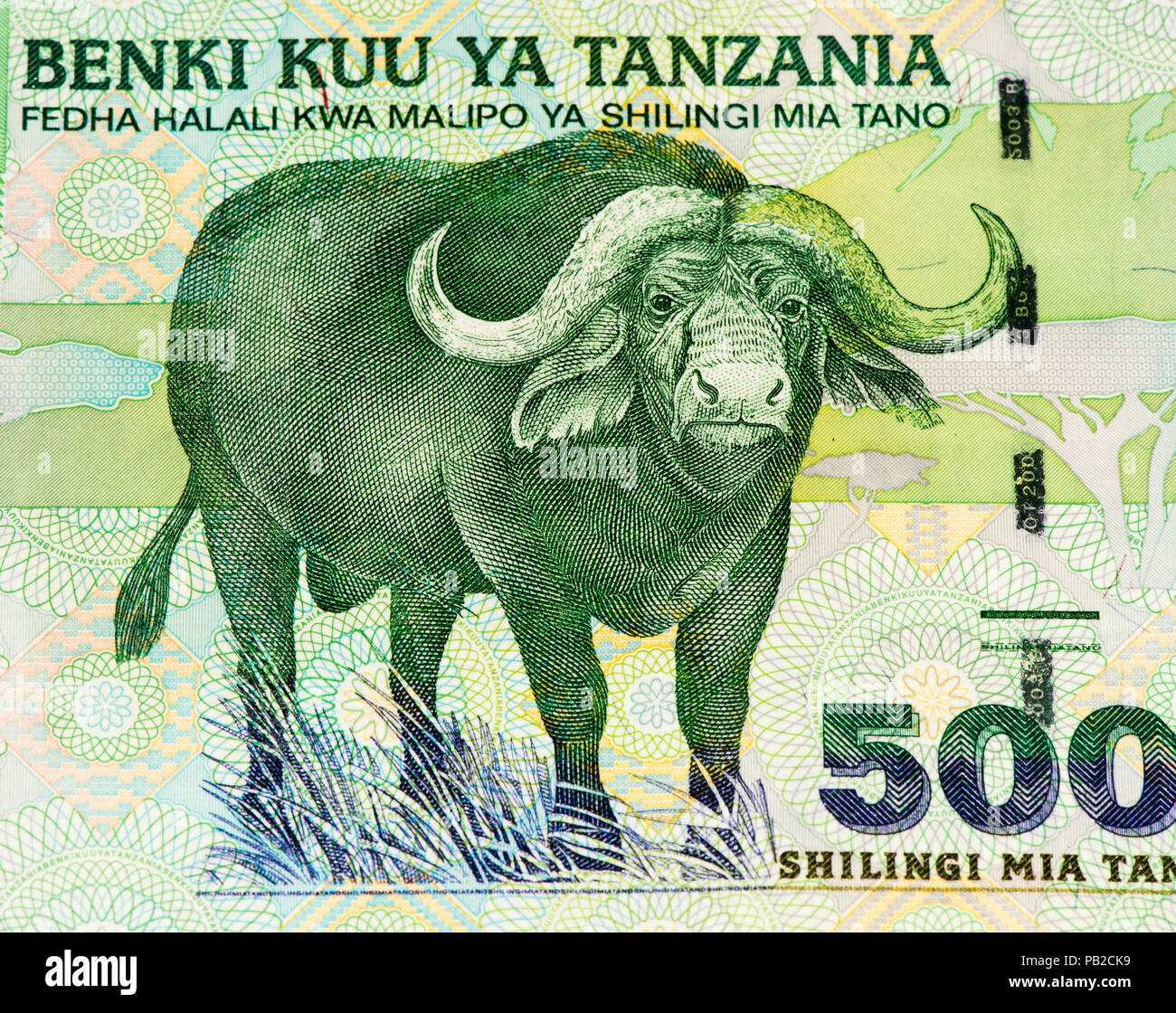 500 Tanzanian shillings bank note. Tanzanian shilling is the national ...
