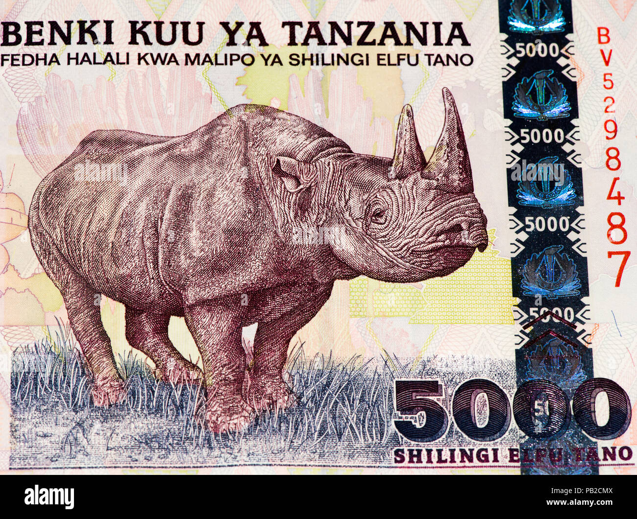 5000 Tanzanian shillings bank note. Tanzanian shilling is the national ...