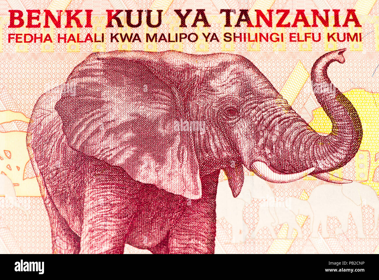 10000 Tanzanian shillings bank note. Tanzanian shilling is the national ...