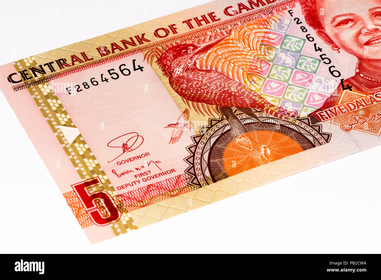 5 Gambian dalasi bank note. Gambian dalasi is the national currency of ...