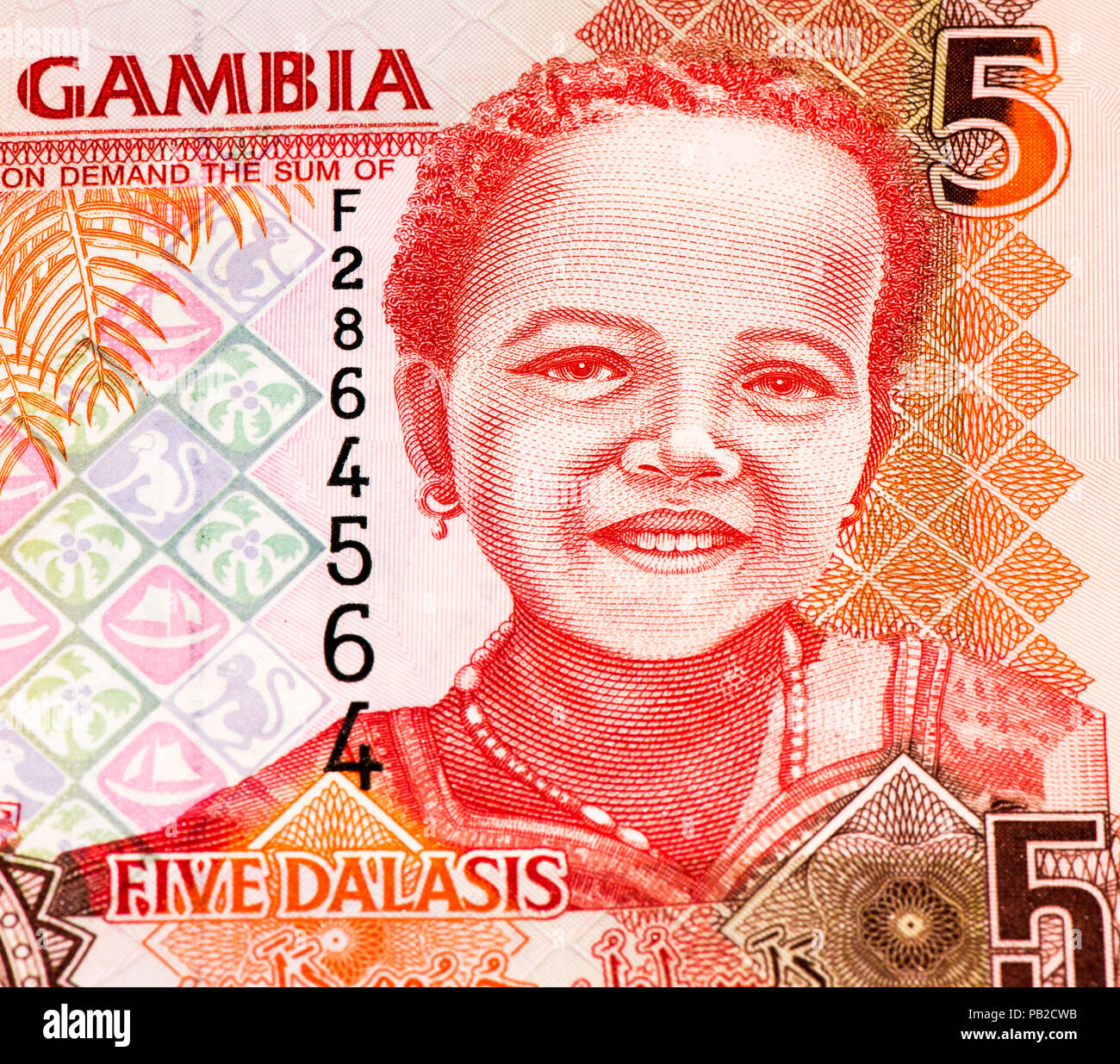 5 Gambian dalasi bank note. Gambian dalasi is the national currency of ...
