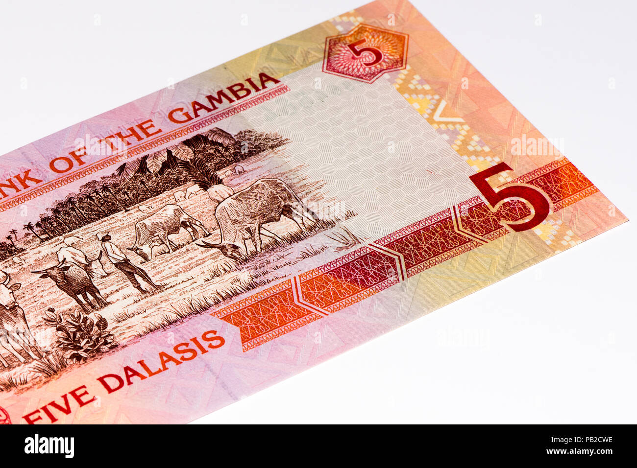 5 Gambian dalasi bank note. Gambian dalasi is the national currency of ...