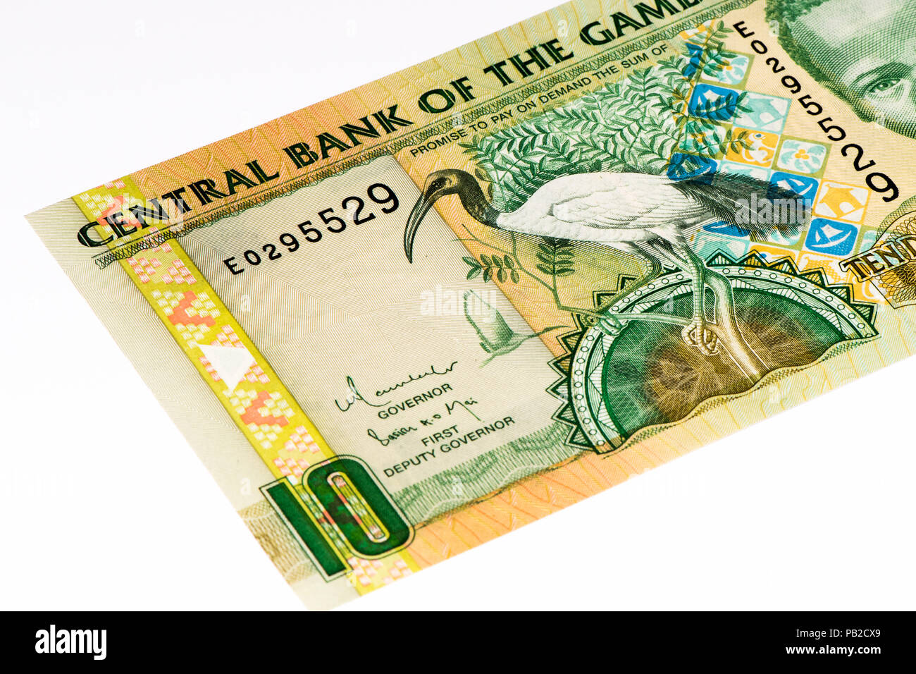 10 Gambian dalasi bank note. Gambian dalasi is the national currency of ...