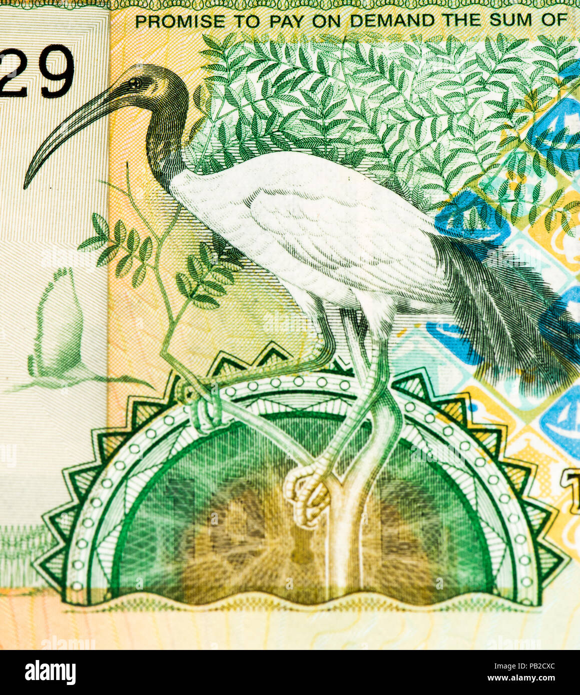 10 Gambian dalasi bank note. Gambian dalasi is the national currency of ...