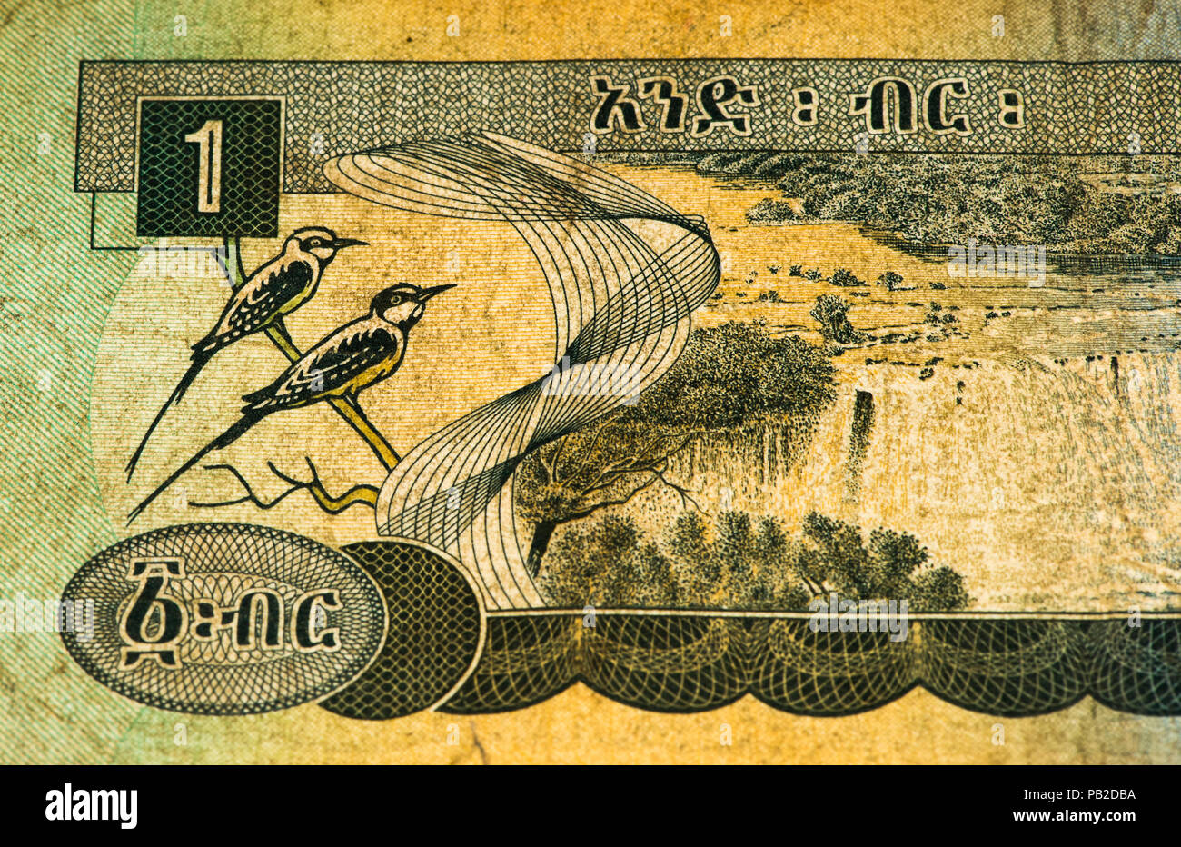 1 Ethiopian birr bank note. Birr is the national currency of Ethiopia ...