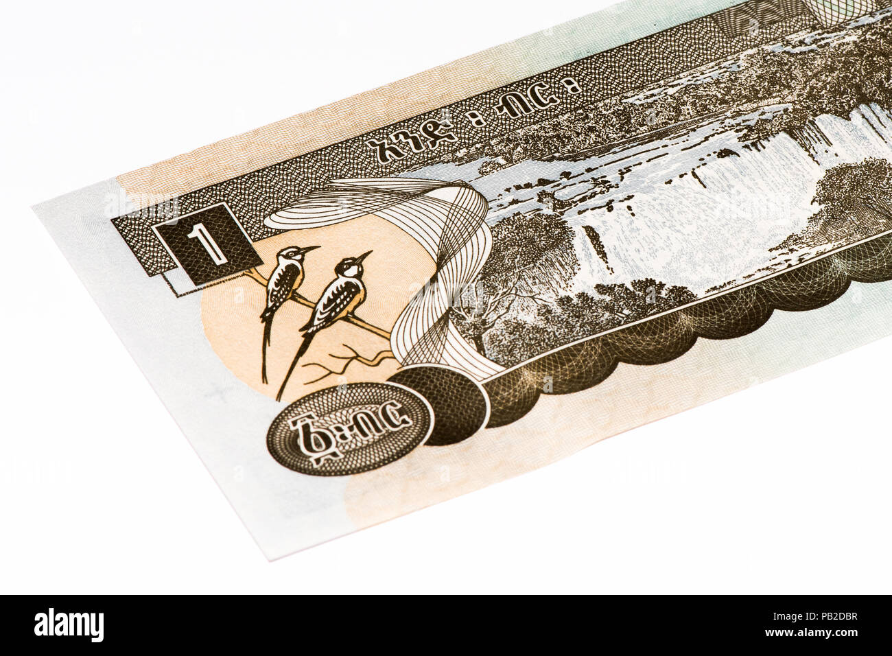 1 Ethiopian birr bank note. Birr is the national currency of Ethiopia ...