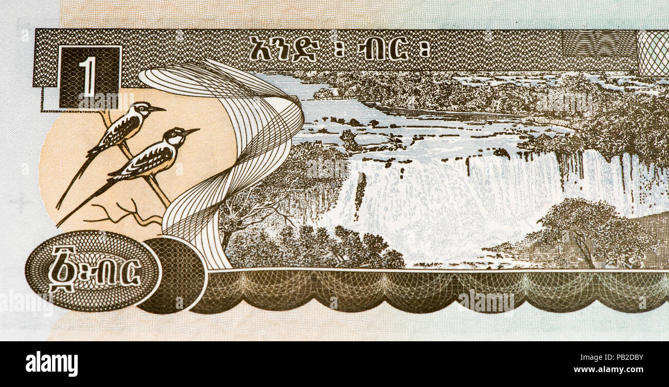 1 Ethiopian birr bank note. Birr is the national currency of Ethiopia ...