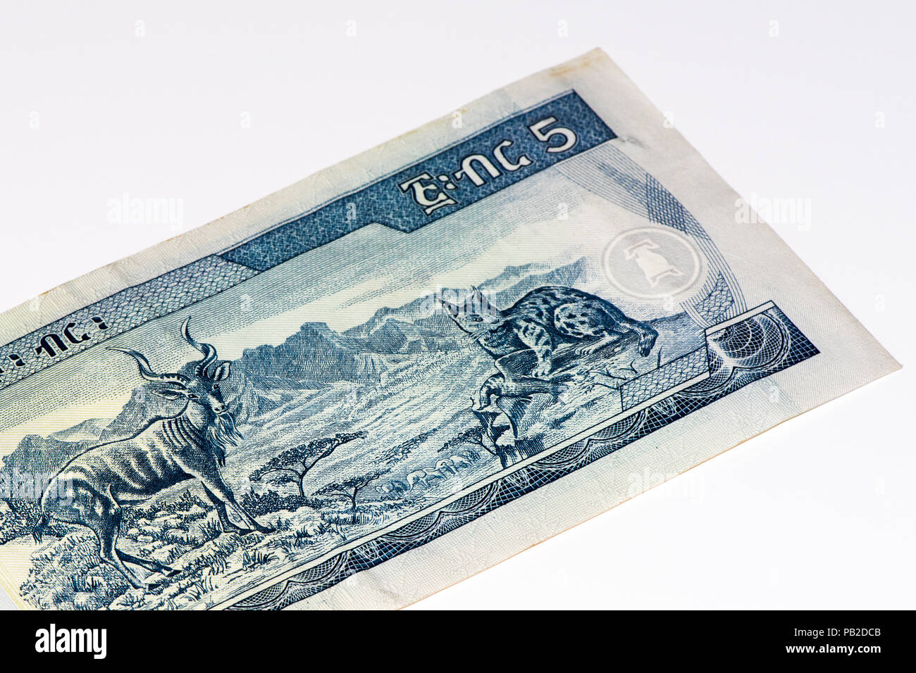 5 Ethiopian birr bank note. Birr is the national currency of Ethiopia ...