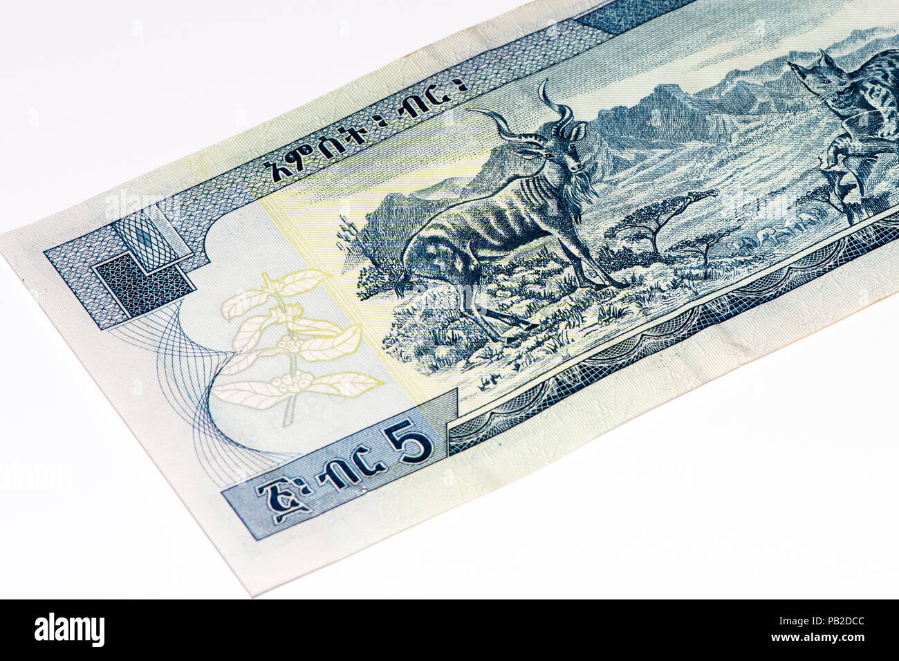 5 Ethiopian birr bank note. Birr is the national currency of Ethiopia ...