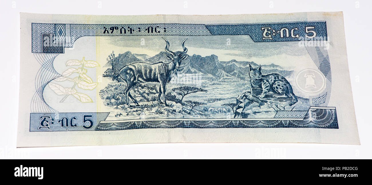 5 Ethiopian birr bank note. Birr is the national currency of Ethiopia ...