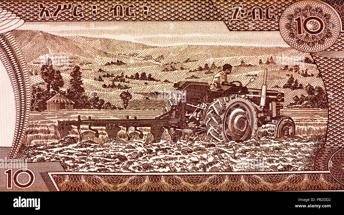 20 Ethiopian birr bank note. Birr is the national currency of Ethiopia ...