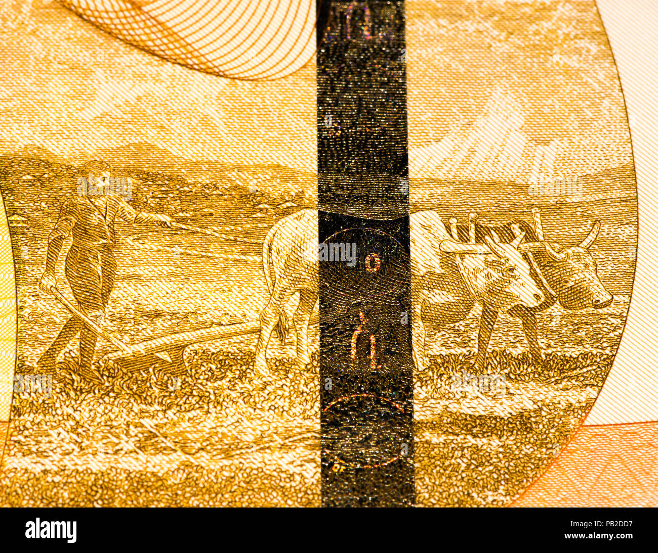 50 Ethiopian birr bank note. Birr is the national currency of Ethiopia ...