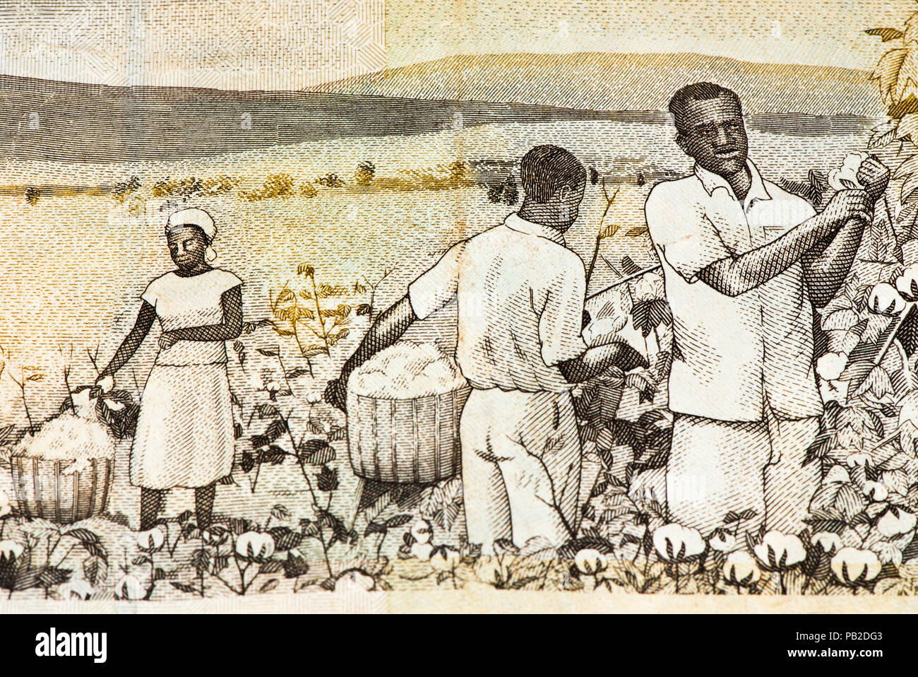 200 Kenyan shillings bank note of Kenya. Kenyan shilling is the ...