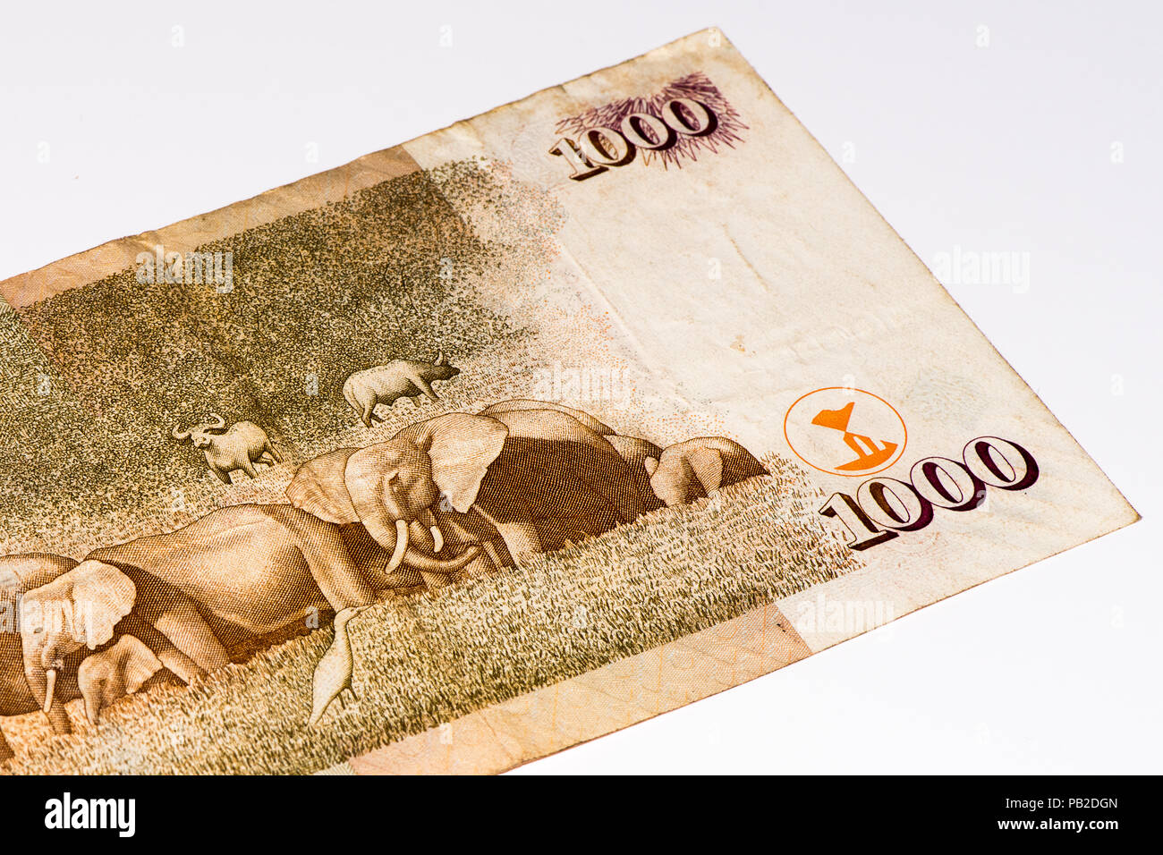 1000 Kenyan shillings bank note of Kenya. Kenyan shilling is the ...