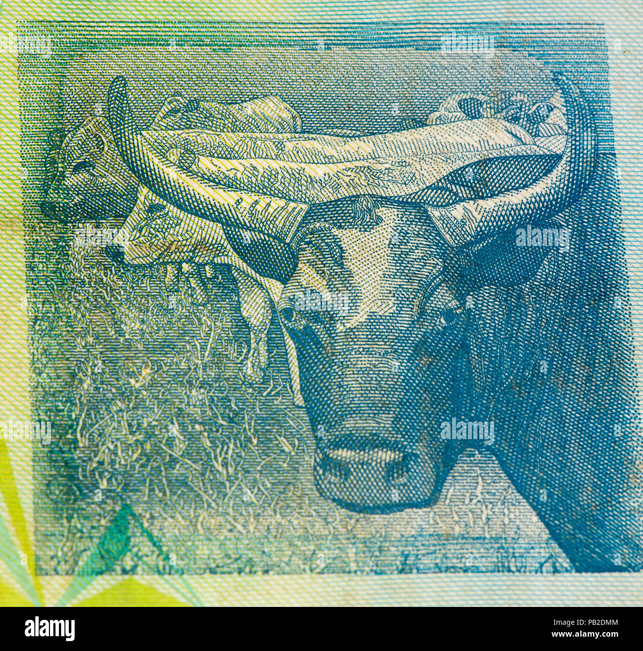 1000000 bank note hi-res stock photography and images - Alamy