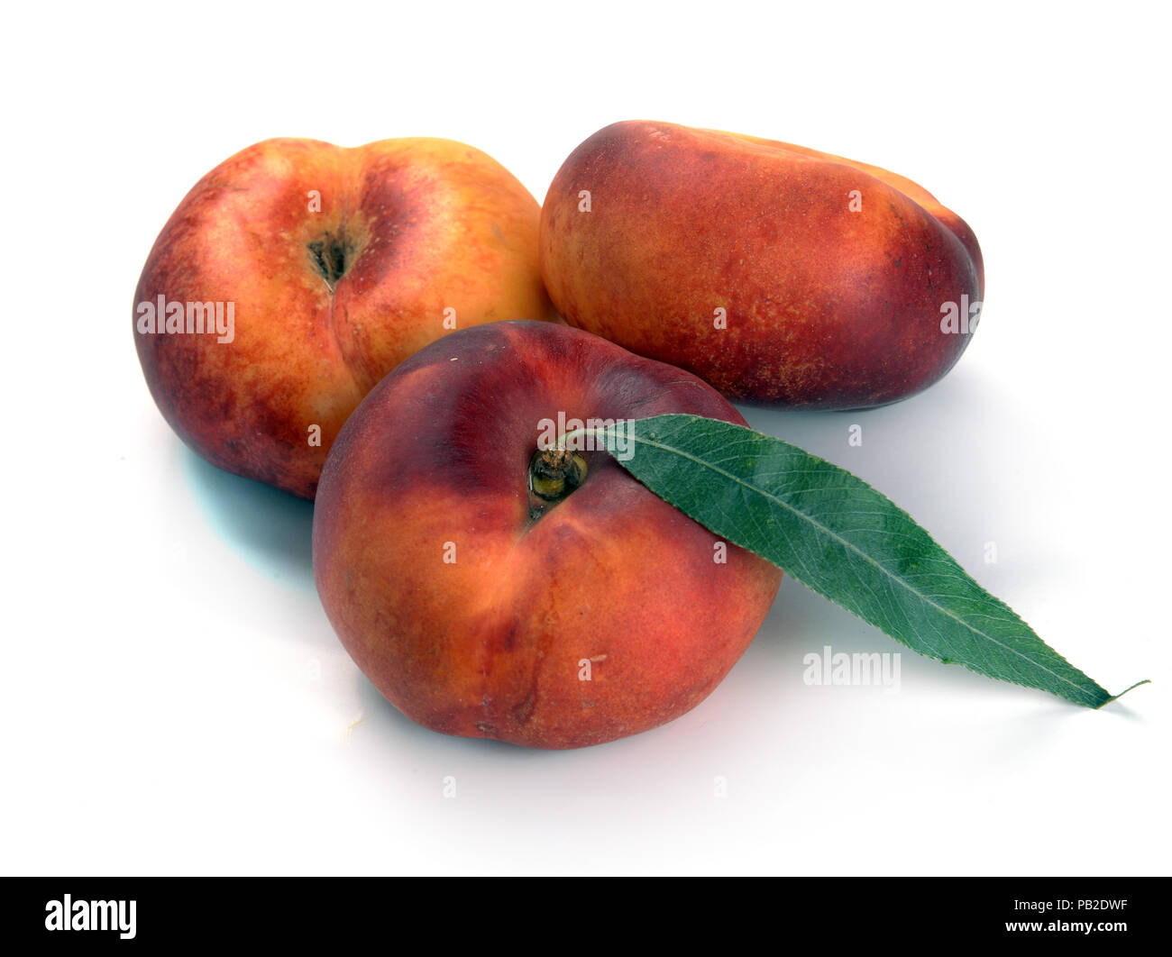 Chinese flat peaches nectarine on a white background Stock Photo - Alamy