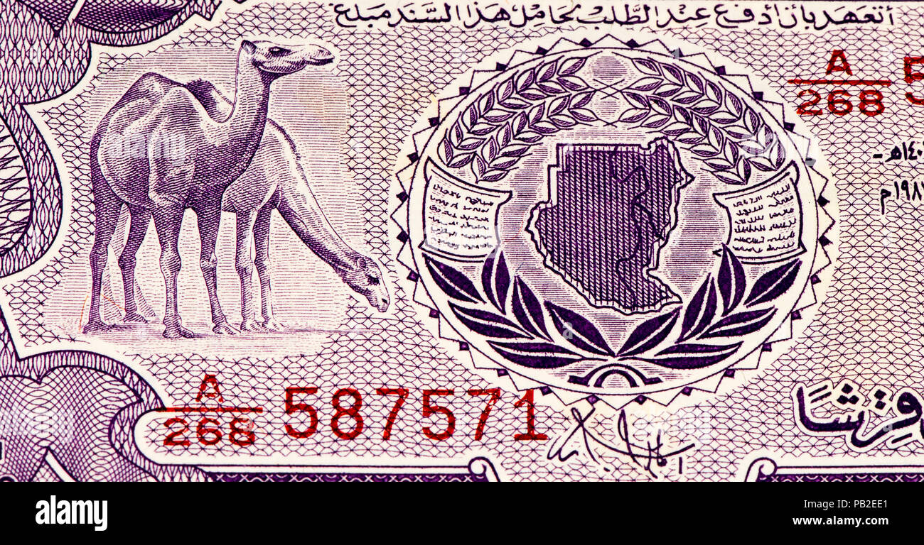 25 Sudanese piastres bank note, former currency of Sudan Stock Photo ...