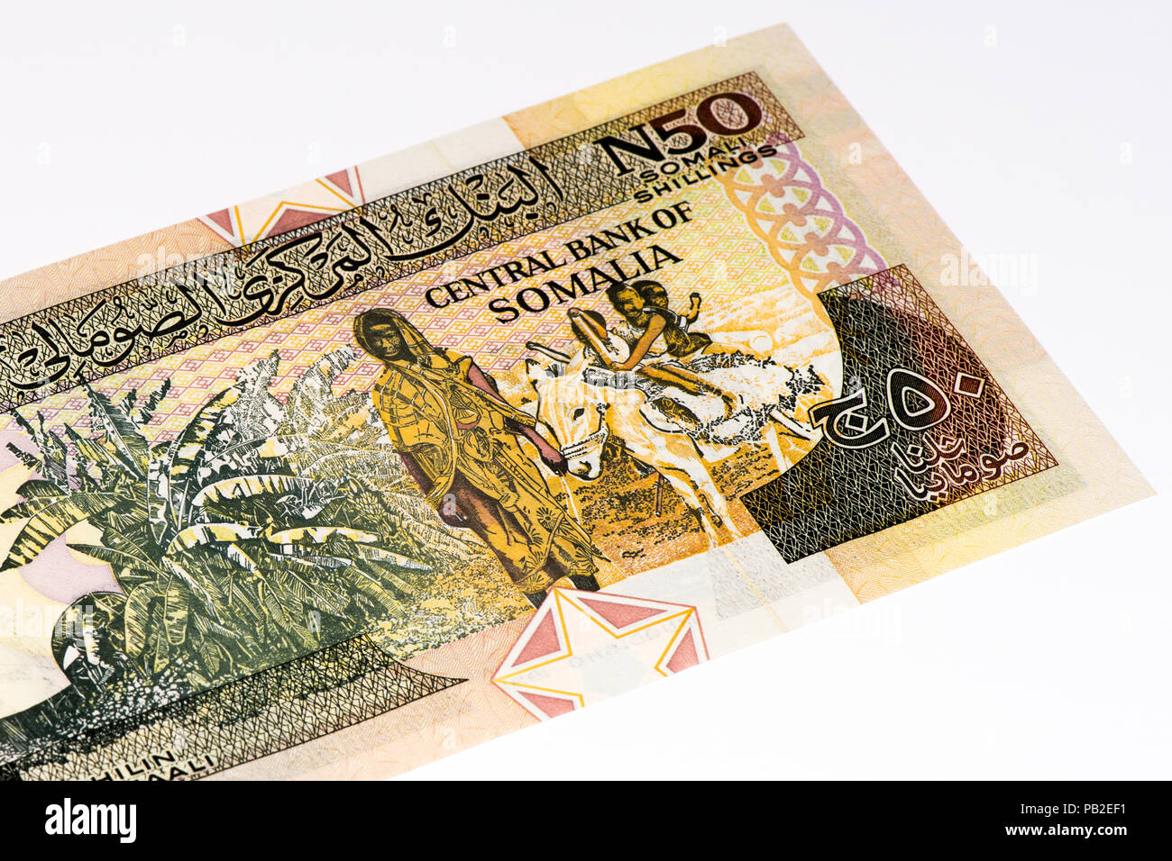 50 Somali shilings, the national currency of Somalia Stock Photo - Alamy